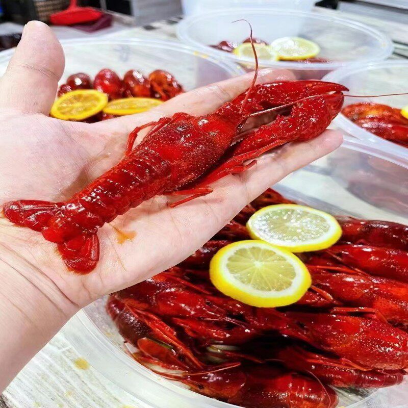 话梅花雕冰镇料汁小龙虾小海鲜螃蟹商用醉虾生腌调料汁