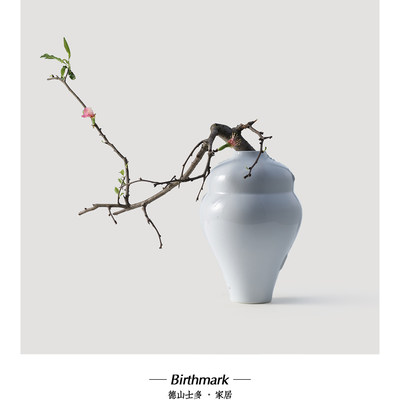 痣birthmark景德镇手工葫芦花瓶