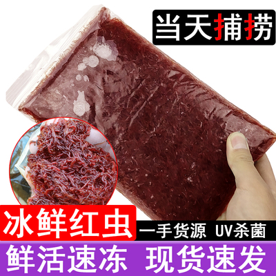 红虫冰冻水蚤冷冻红线虫冻赤虫血虫鱼粮金鱼食观赏鱼饲料小公虫