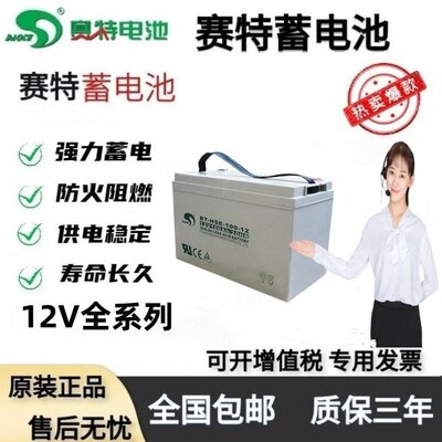 BT赛特蓄电池12V7AH43865