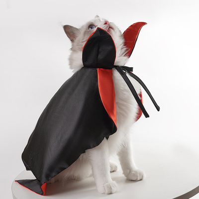 猫狗万圣节狂欢蝙蝠披风