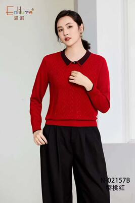 N-02157B天丝针织衫新款女2025秋季时尚翻领气质百搭上衣