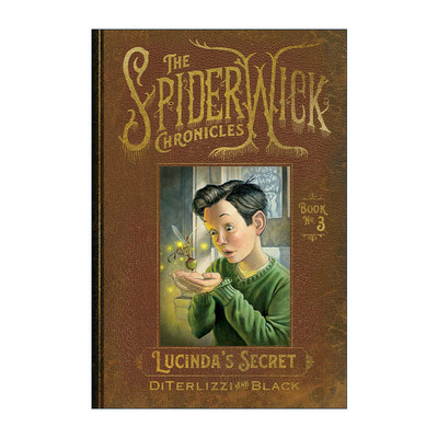 Lucinda's Secret 奇幻精灵历险记3 章节书