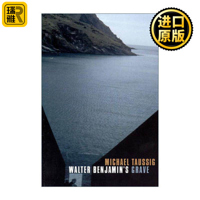 英文原版 Walter Benjamin's Grave 本雅明之墓 一场人类学写作实验 哥伦比亚大学教授迈克尔·陶西格 英文版 进口英语原版书籍