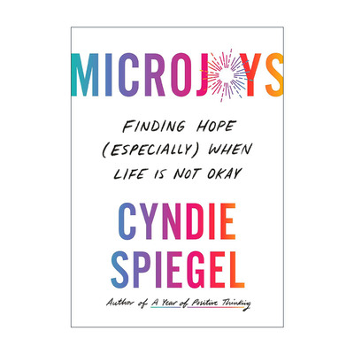 Microjoys 微快乐 人生忽如寄 莫辜负茶 汤 好天气 Cyndie Spiegel 精装