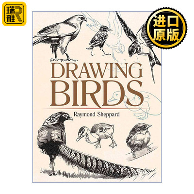 Drawing Birds (Dover Art Instruction) 鸟类绘画指南 英国插画家Raymond Sheppard