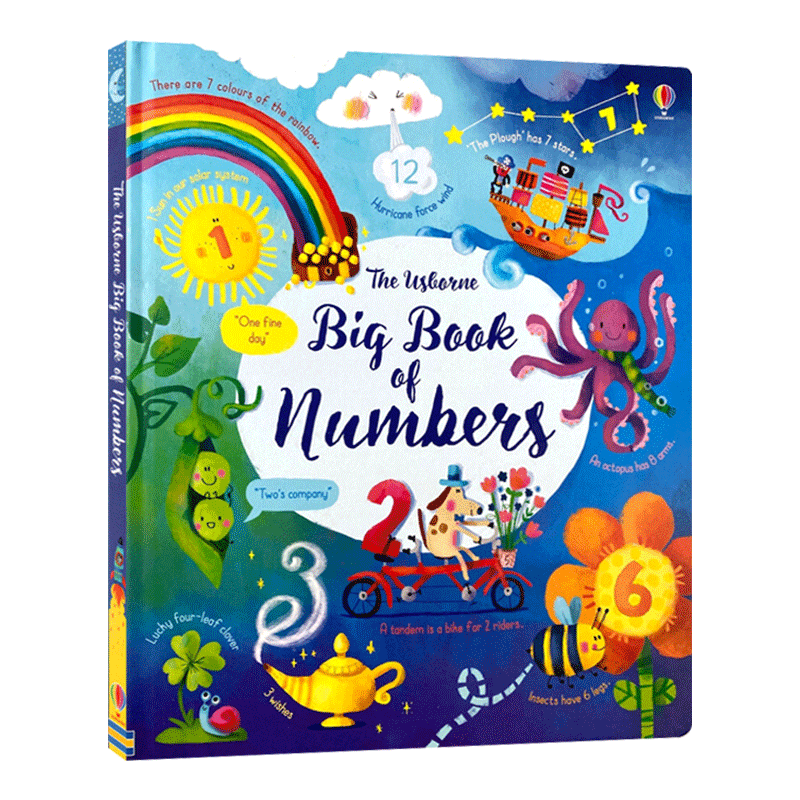 Big Book of Numbers 数字科普知识 英文原版 儿童英语启蒙翻翻书 英文版 Felicity Brooks 进口英语原版书籍