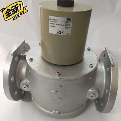 议价SG65FQ/220施能电磁阀SG80FQ/220安全阀可维修