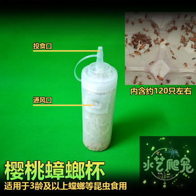 水艺爬宠饲料包邮送赠品