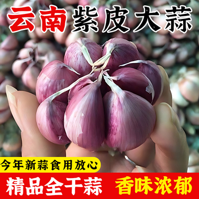 正宗云南紫皮大蒜9斤干蒜批发