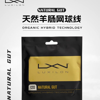 Wilson威尔胜力士浪羊肠线天然肠线高弹力比赛网球线软线NAT GUT