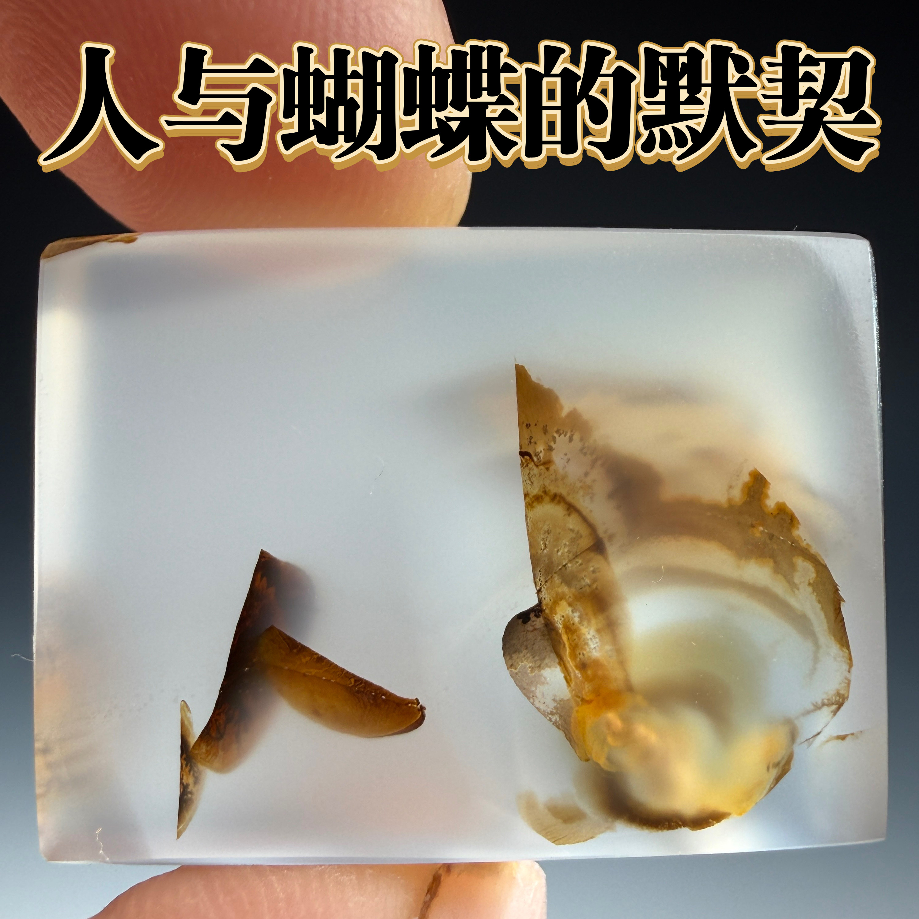 海洋玉髓象形图案奇石亿万年的玉化纹理原石手工打磨天然玛瑙奇石