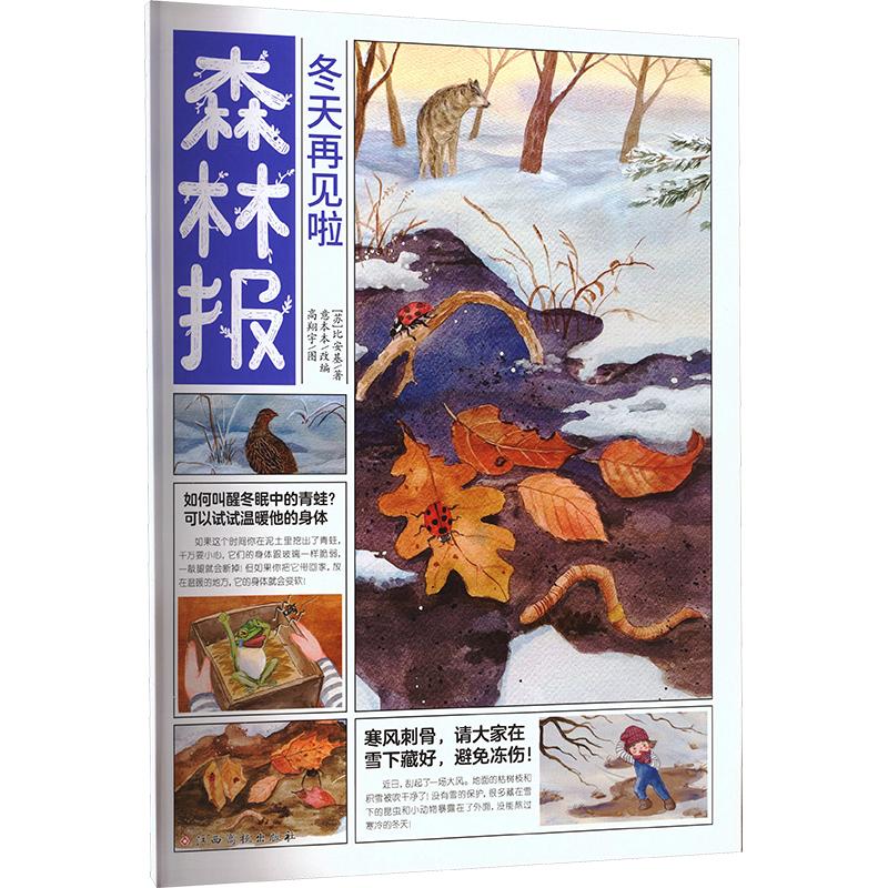 森林报——冬天再见啦(苏)比安基 著儿童文学少儿江西高校出版社