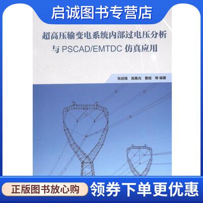 正版现货直发超高压输变电系统内部过电压分析与PSCAD EMTDC仿真应用 张叔禹 9787517026884 中国水利水电出版社