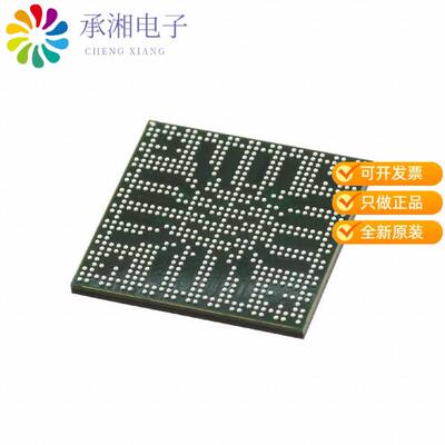 全新DM8107AAAR21正品IC DGTL MEDIA PROCESSOR 609FCBGA