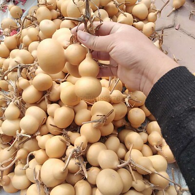 天然手捻小葫芦文玩把玩地摊热卖