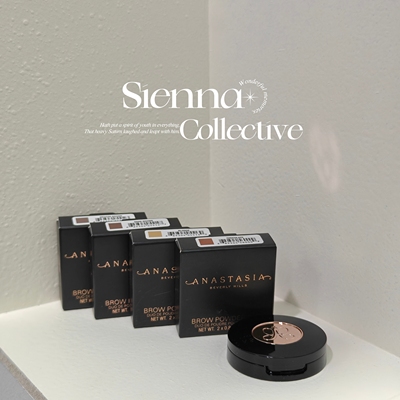 Anastasia双色眉粉/blonde/taupe/ash brown/chocoate2*0.8g