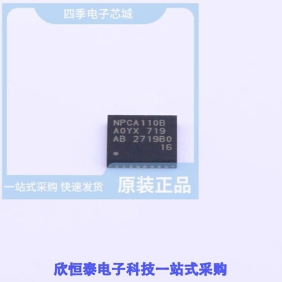 NPCA110BA0YX/NPCA110PA0YX/NPCA13-X