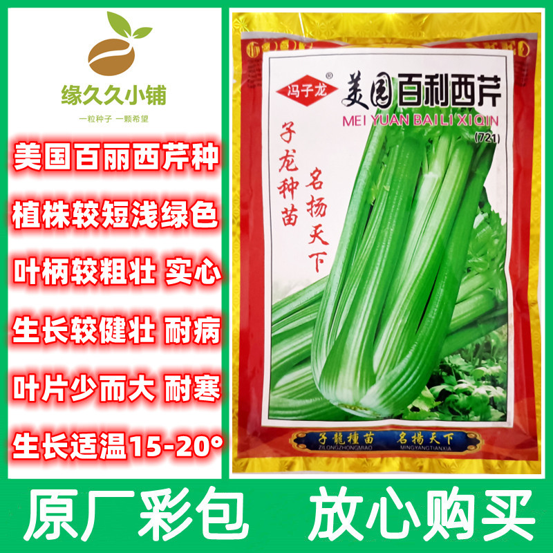 美国百丽西芹种子实心芹菜种耐病耐寒大肉西芹肉厚洋芹菜蔬菜种子