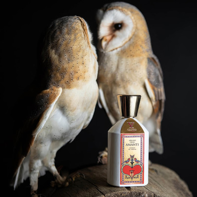 V坎朵VCanto星之阿尔卡诺