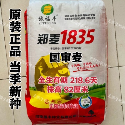 小麦种子高产大穗优质麦矮杆抗倒抗病抗旱抗盐碱新种郑麦1835正品