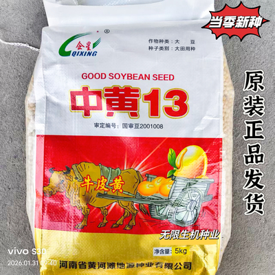 中黄13大豆种子高产抗病抗旱黄豆种籽春夏季播农家大田用种正品