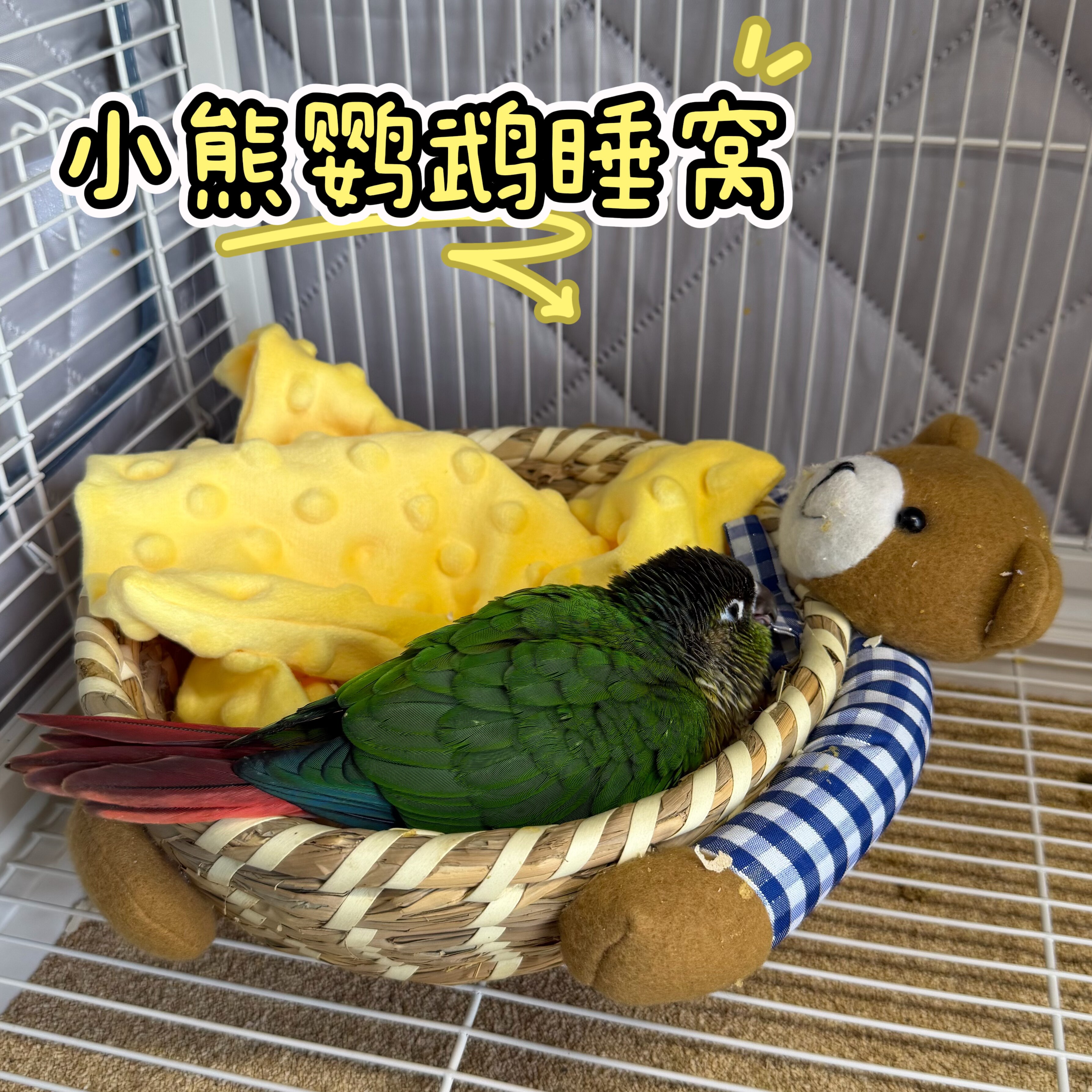 小太阳鹦鹉睡床休息平台睡床手工编织鸟窝钩织结实耐用宠物用品