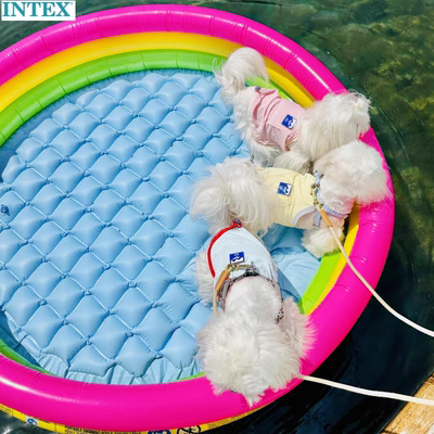 打水仗水池宠物宝宝水上坐船泳池