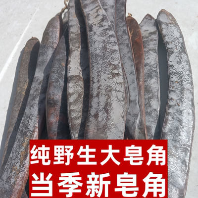 天然皂角源头直采饱满皂角，家居清洗，洗头洗衣多用途