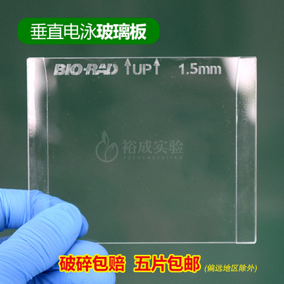 Bio-rad伯乐电泳玻璃板 WB玻璃短板垂直电泳玻璃板 玻璃厚板