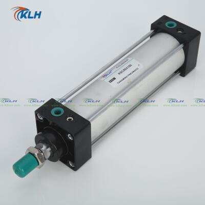 sc63x25/sc63x25-s气缸磁标准带