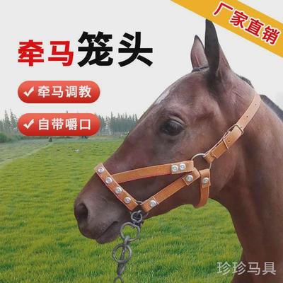 珍珍马具马笼头马笼套马嘴笼牛嘴笼马缰绳牵马调教马龙头全套用品