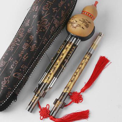 傣灵葫芦丝c调降b调成人学生专业演奏型胡芦丝初学者乐器