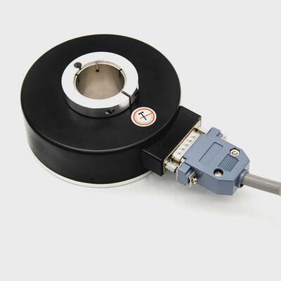 瑞普型zkt10030-001j-1024bz2-12-24f空心轴6002000360质保一年