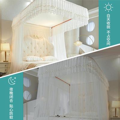39nu型导轨蚊帐家用2024新款宫廷落地卧室公主风纹账支架免安