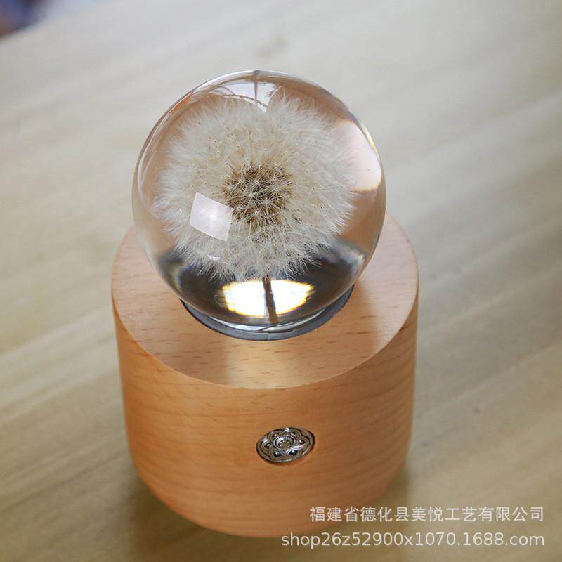 蒲公英夜灯八音盒触控无极调光木质十八音乐盒植物水晶球七夕节