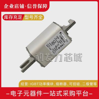 170m3071170m3072170m3073170m4058170m4059170m4060熔断器