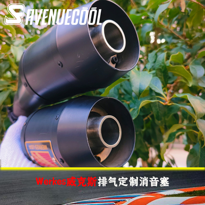 凯旋火箭Werkes威克斯排气消音塞