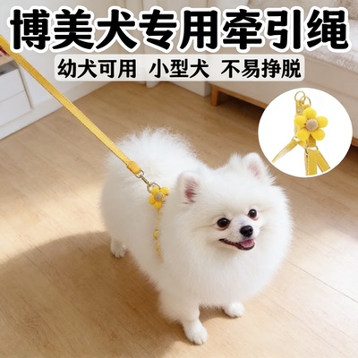 博美犬幼犬防挣脱可伸缩牵引绳
