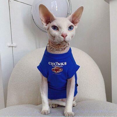 无毛猫衣服德文猫衣服春夏潮款