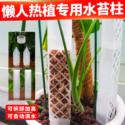 新型热植专用水苔柱植物攀附柱