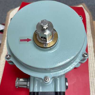 咨询DAEYANG电动执行器，型号RT453，10.6KG，议价