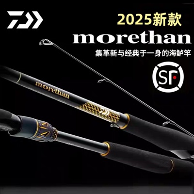 DAIWA达亿瓦 25新款MORETHAN.J 猫赞海鲈竿岸抛远投杆路亚翘嘴