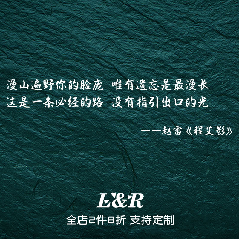 程艾影歌词车贴 这是一条必经的路没有指引出口的光赵雷歌迷装饰
