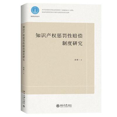 知识产权惩罚性赔偿制度研究 孙那 知识产权法律制度法学理论研究 知识产权惩罚性赔偿判决司法实证分析现状 北京大学旗舰店正版