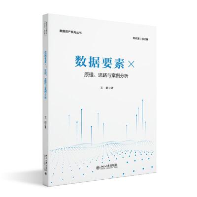 数据要素×：原理、思路与案例分析 王鹏 数据资产系列丛书 北京大学旗舰店正版