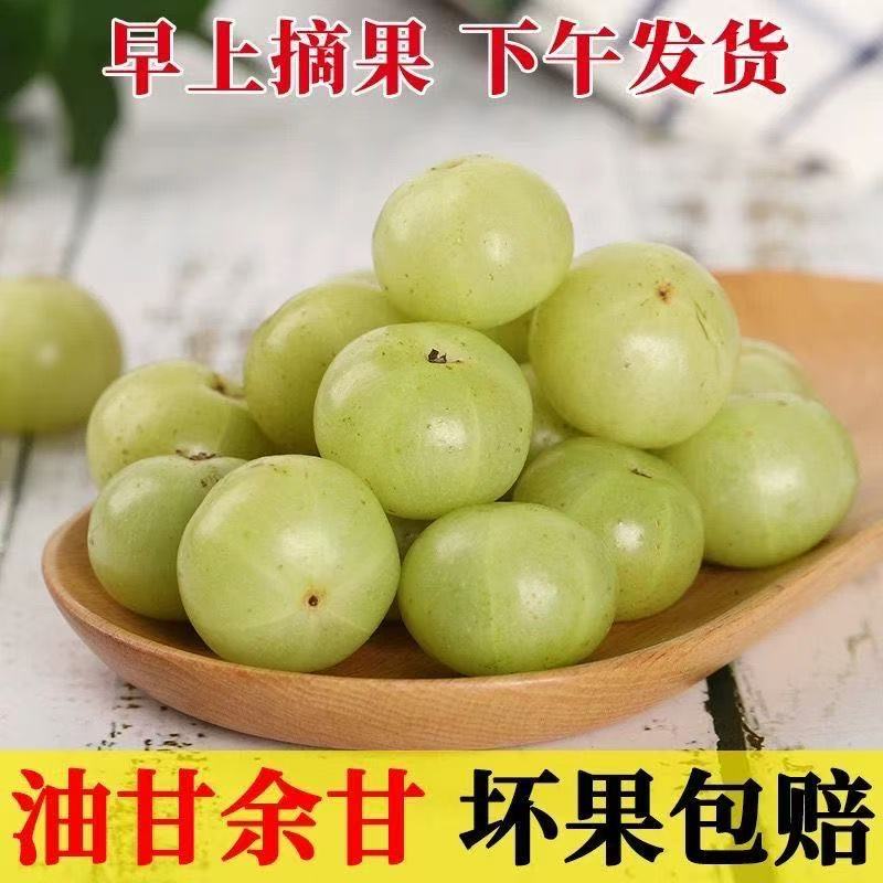 正宗潮汕柿饼甜油甘新鲜油甘果余甘牛甘鲜果子孕妇水果滇橄榄崩坎