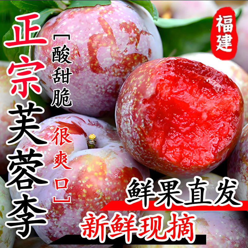 正宗古田芙蓉李新鲜李子现摘红心三月李子三华李孕妇大果整箱LL