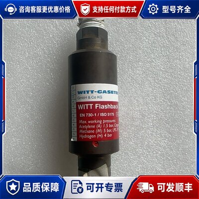 议价WITT-GASETECHNIK火焰防止器型号Flashb可维修