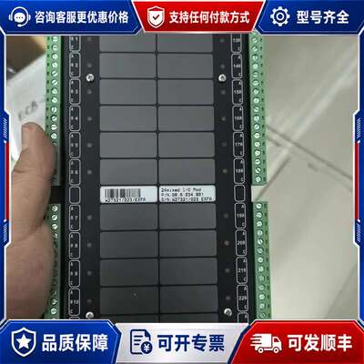 议价TERASAKI寺崎24mixed I/O模块，型号98.6可维修